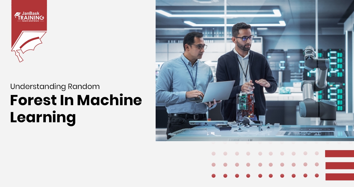 Unleashing the Power of Random Forest